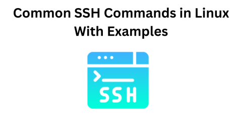 Common SSH Commands in Linux With Examples - Buy GPU RDP Online - Cheap GPU RDP - GPU Dedicated ...